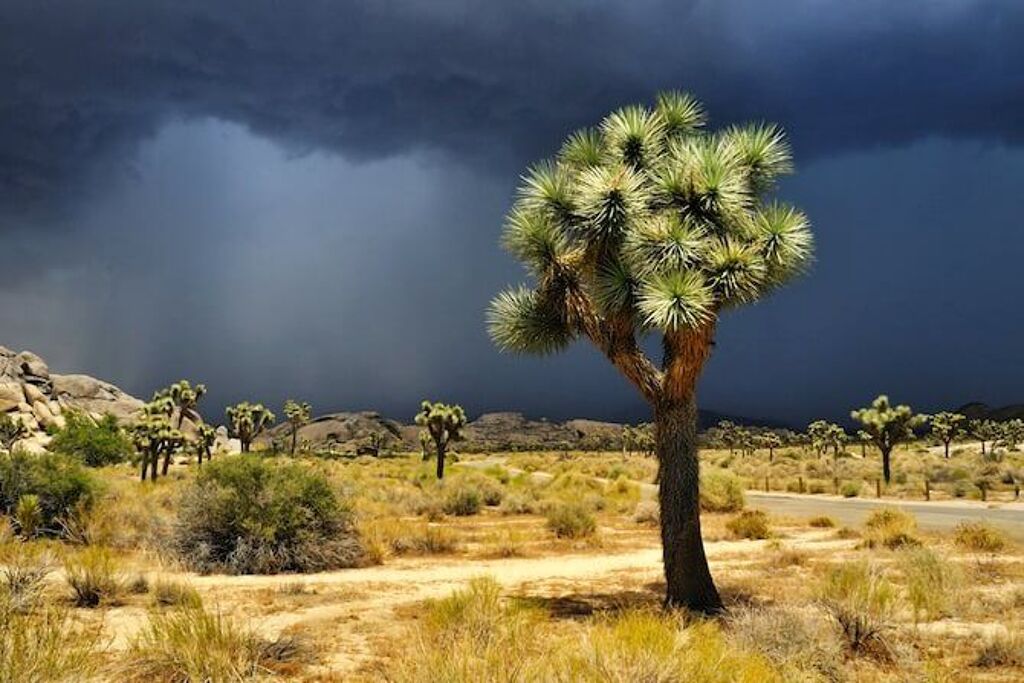 Full Course Catalog - Outward Bound